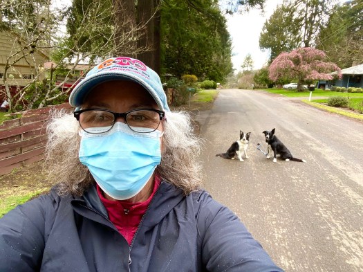 Taming My Scraps – agilejack