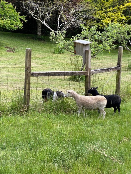 A Normal Feeling Visit and So Many Frankenbags – agilejack