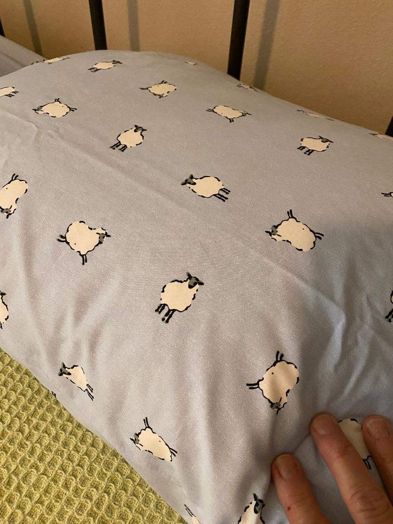 Quilts for My New Bed – agilejack