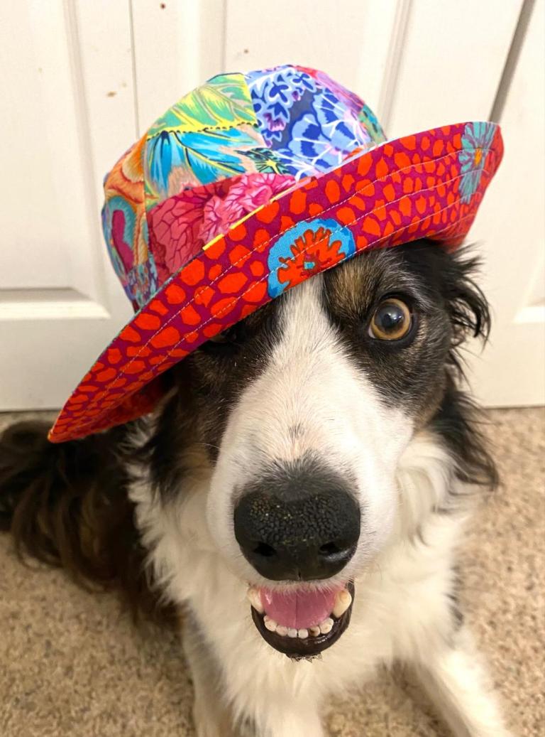 Crumb Hat Done and a Yard Tour – agilejack