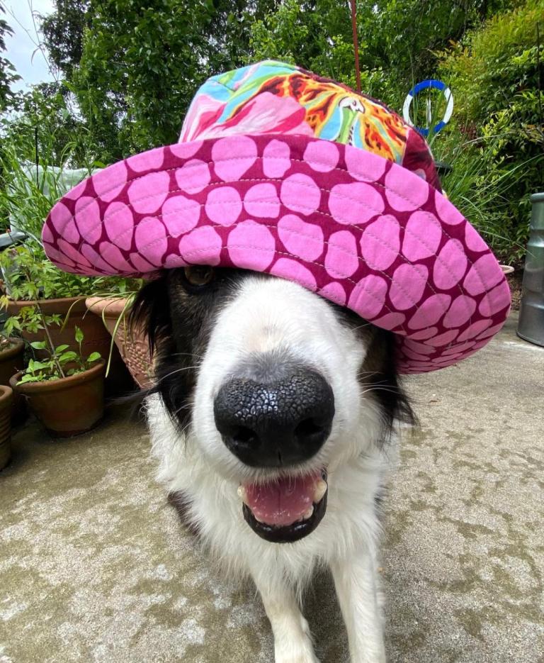 Two Hat Sunday – agilejack