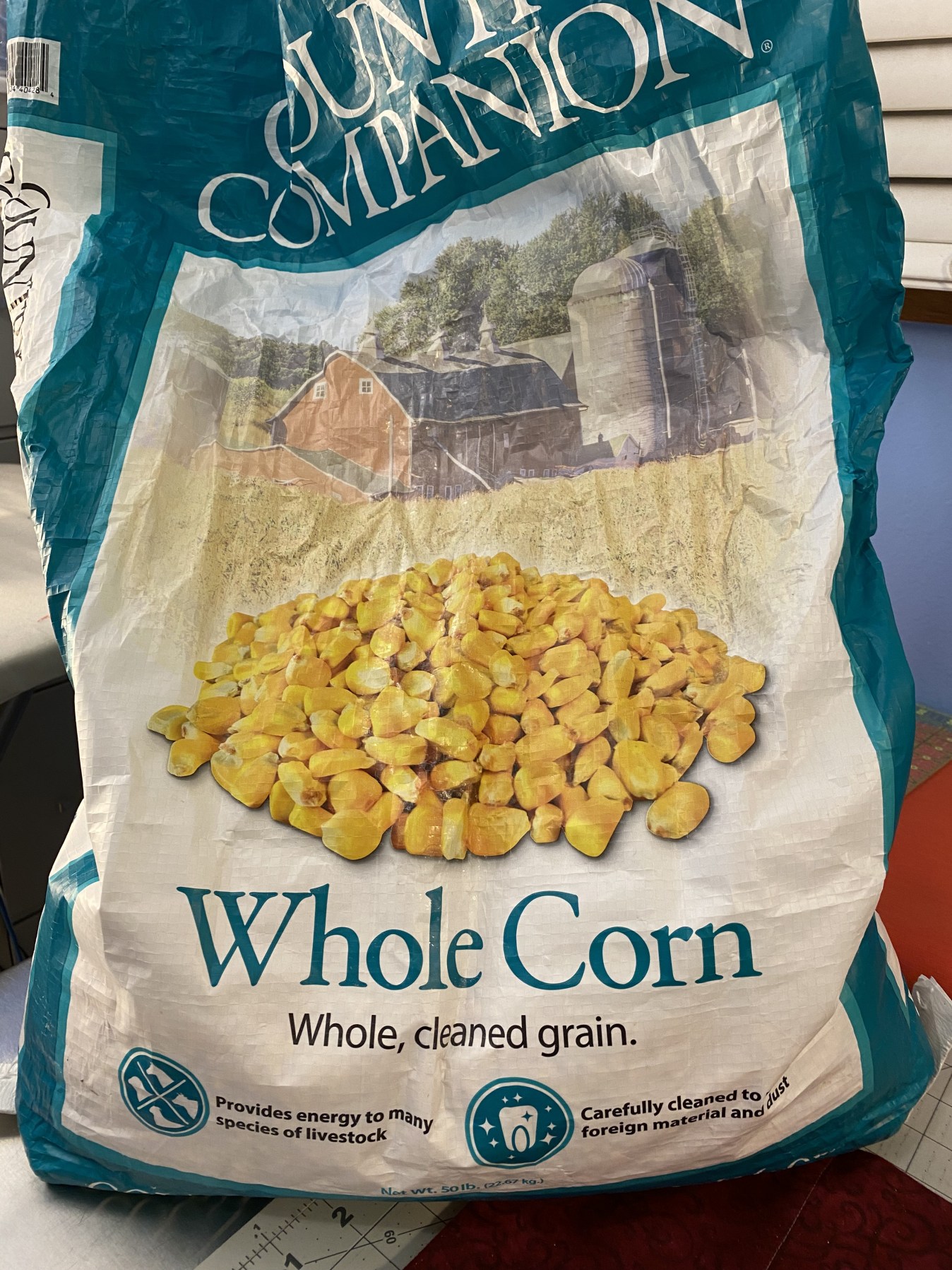 A Week of Gathering Inspiration, Waiting, and Planning – agilejack