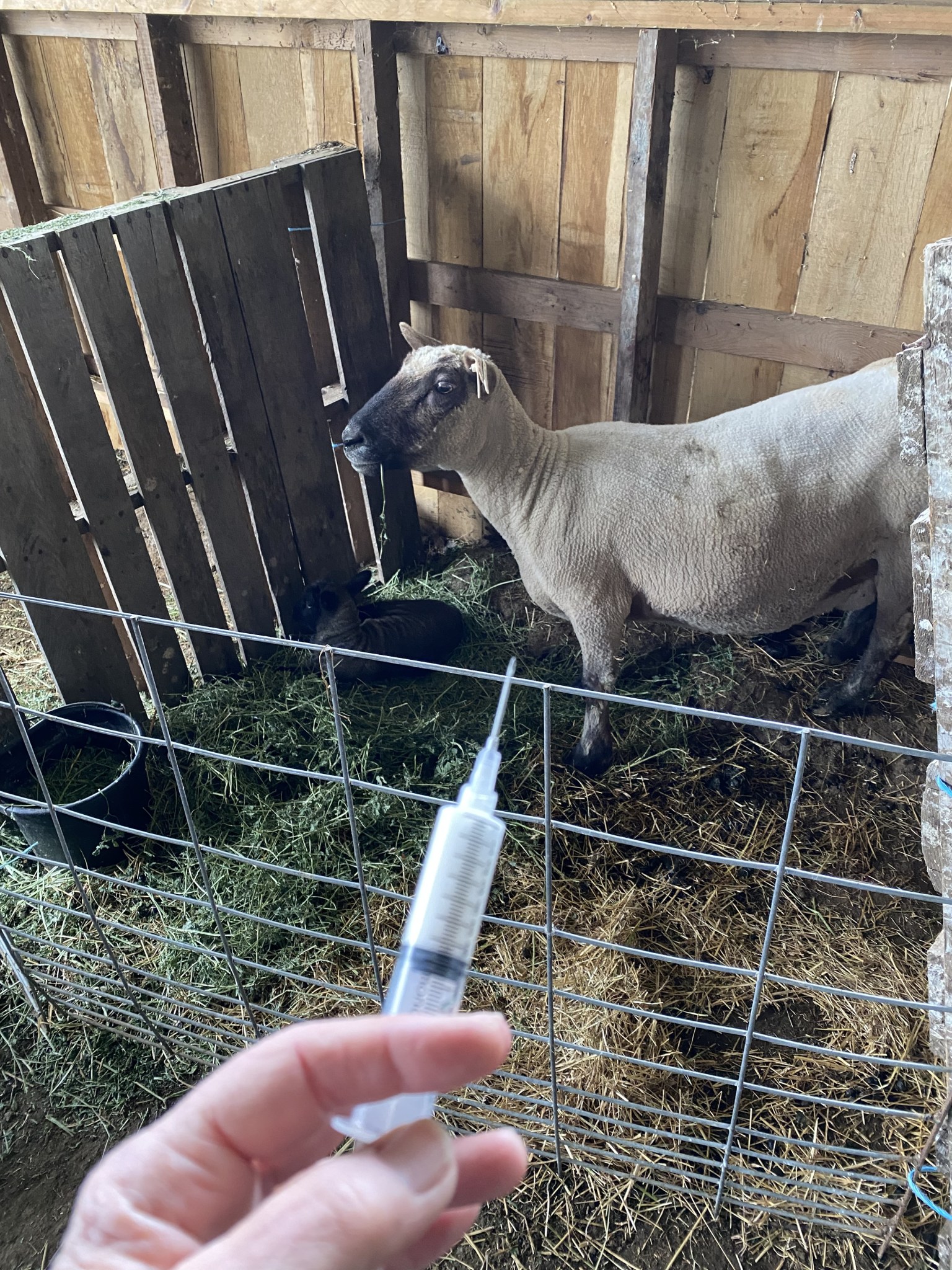 March 2023 – agilejack