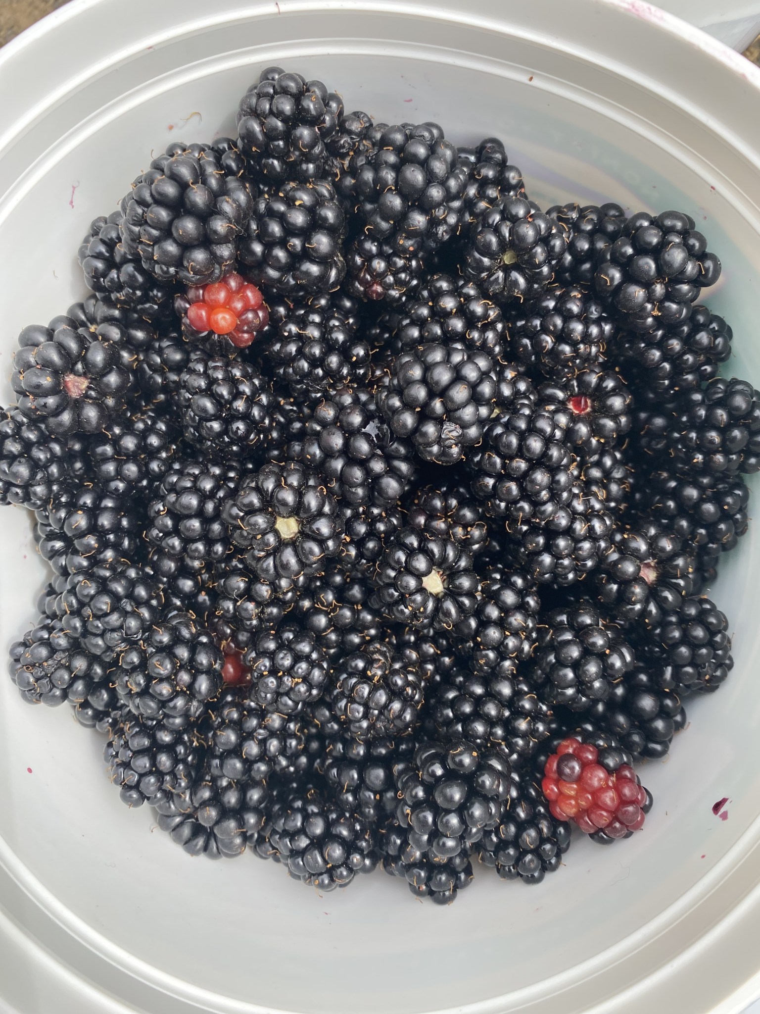 Another Weekend Over and Something Fabric Related – agilejack