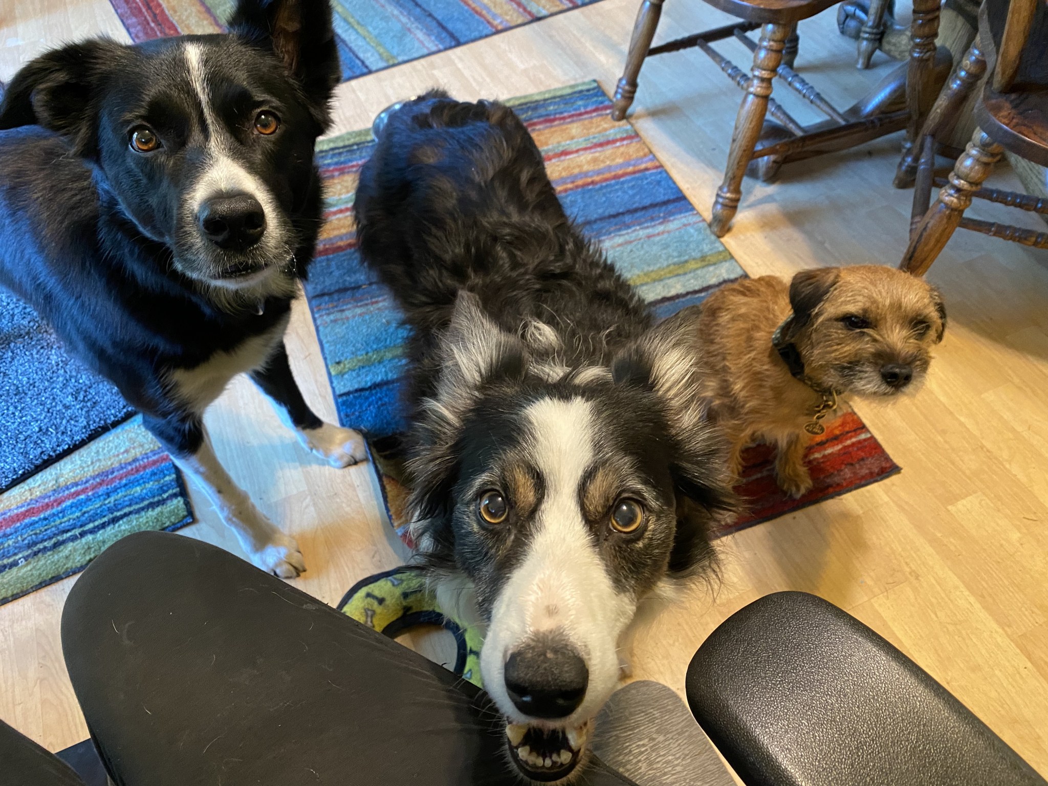 Plugging Along and Then Wham! – agilejack