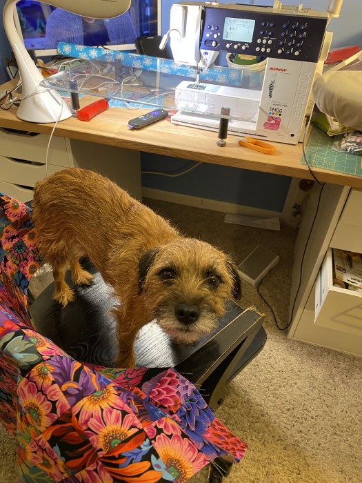 Plugging Along and Then Wham! – agilejack