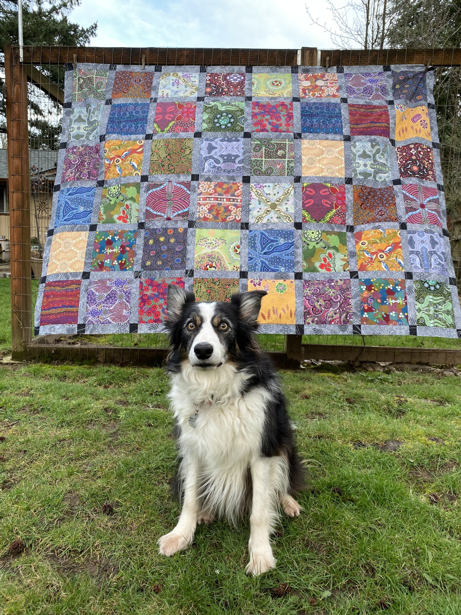 agilejack – Page 5 – Dogs, Quilting, Profanity