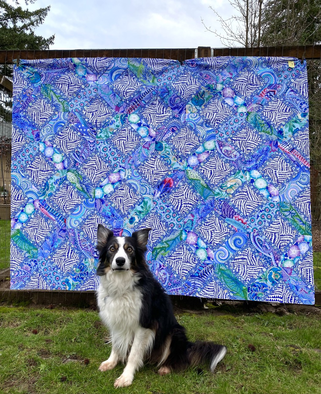 Agilejack’s Blue Swirly Quilt Tutorial – agilejack