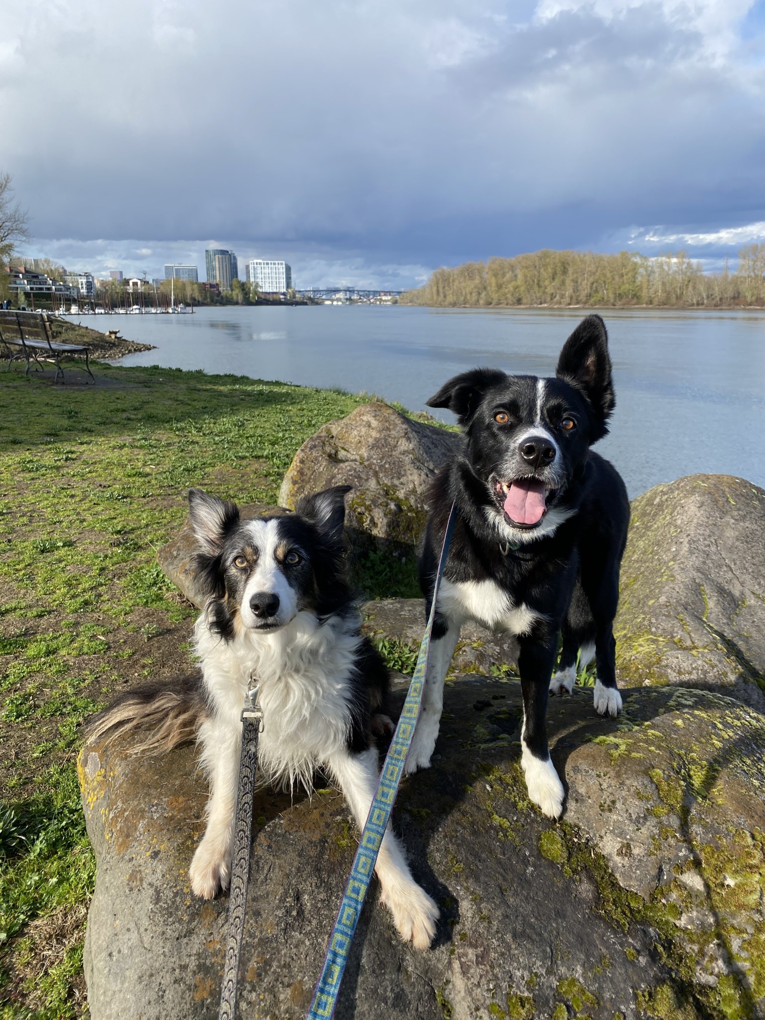 More Than Half My Brandon Leftover Blocks are Done – agilejack