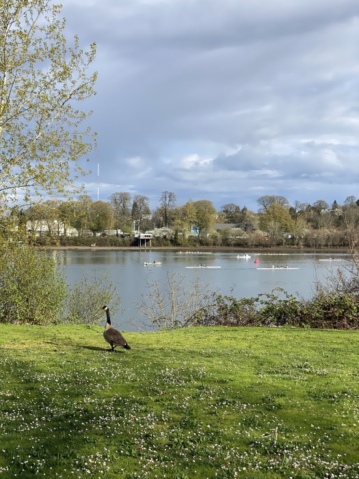 More Than Half My Brandon Leftover Blocks are Done – agilejack