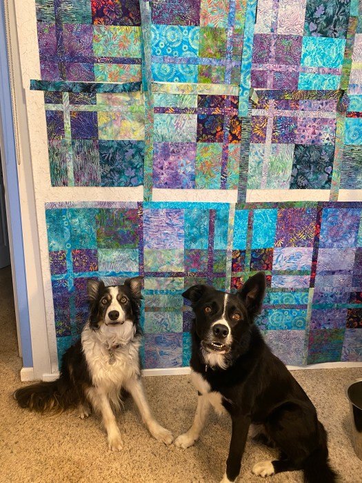 agilejack – Dogs, Quilting, Profanity